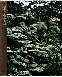 Life Before Man – BabelBooks